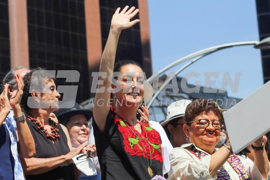 Presentación ahuehuete en la Glorieta de la Palma - Agencia de ...