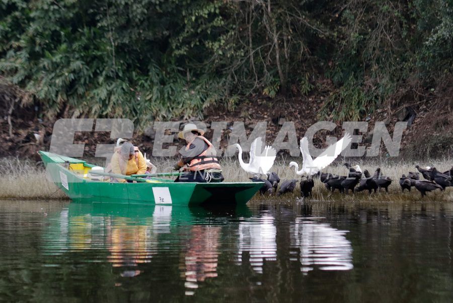 Presa de Necaxa en Patoltecoya; BioRuta del Café - Agencia de ...