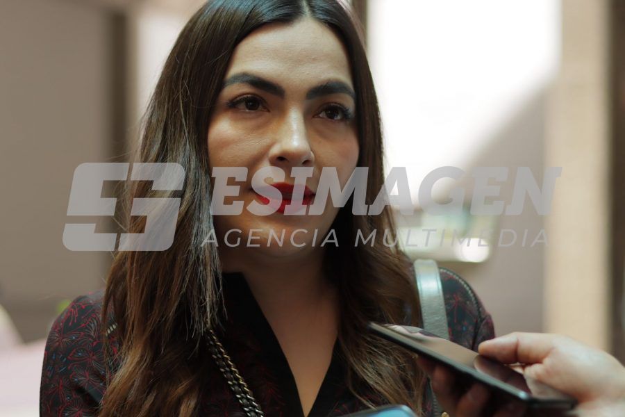 Designan a la empresaria Nydia Cano, como nueva titular del IEM ...
