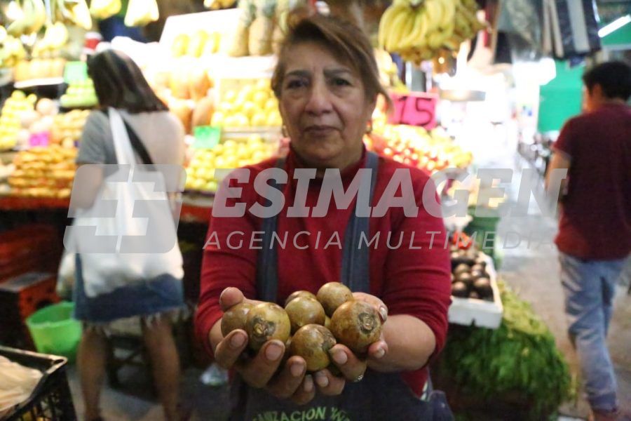 Coyoles, fruta parecida a un coco pequeño - Agencia de Fotografía Es Imagen