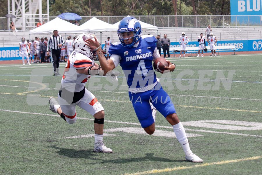 Borregos Puebla vs Leones Anáhuac México en práctica conjunta - Agencia de Fotografía Es Imagen