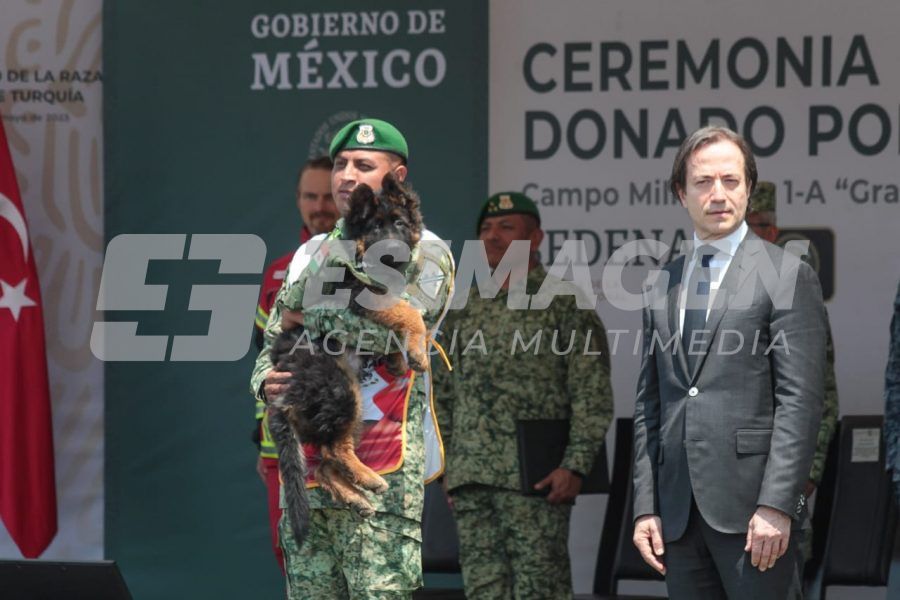 Presentación de "Arkadas" el perro de rescate que donó Turquía ...