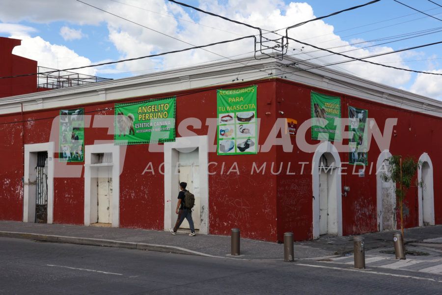 Estética canina "Angelito Perruno" denunciada por bañar con jabón de ...