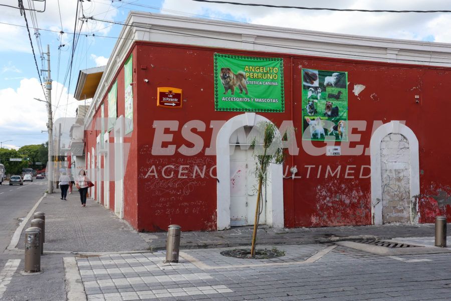 Estética canina "Angelito Perruno" denunciada por bañar con jabón de ...