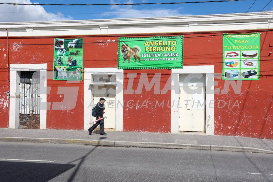 Estética canina "Angelito Perruno" denunciada por bañar con jabón de ...