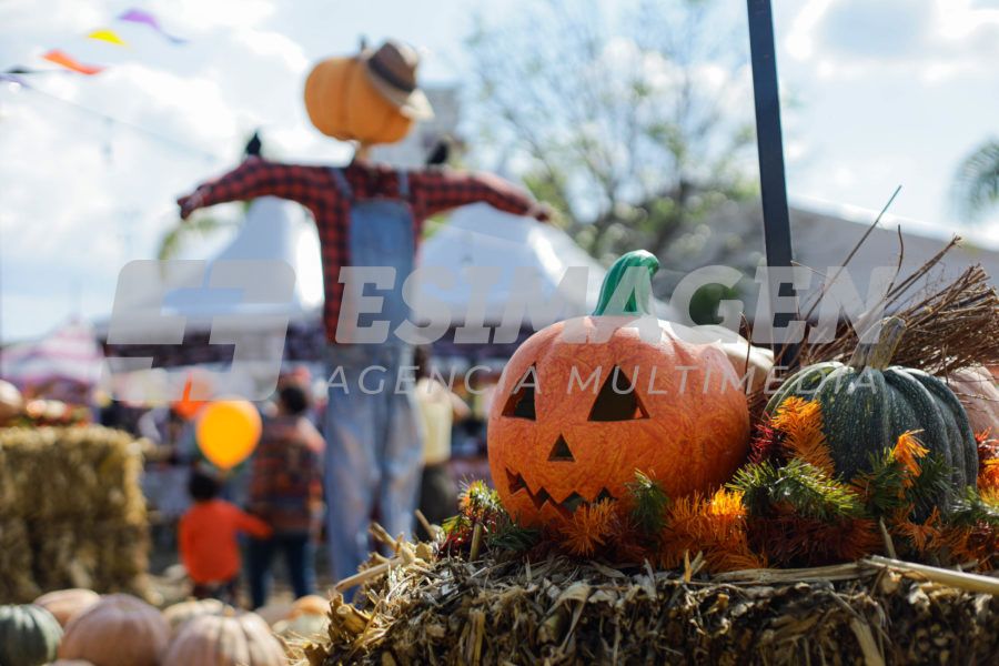 Pumpkin Zone llega a Angelópolis con atracciones temáticas de otoño ...