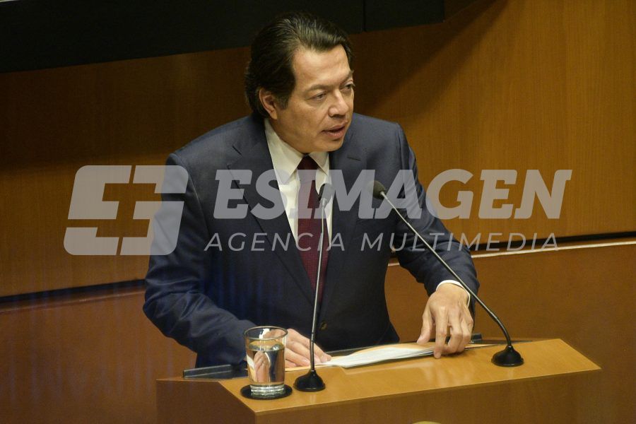 Sesión Senado Comparecencia Mario Delgado - Agencia de Fotografía Es Imagen