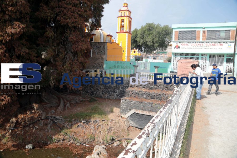 Ahuehuete de Sanata María Acuexcomac - Agencia de Fotografía Es Imagen